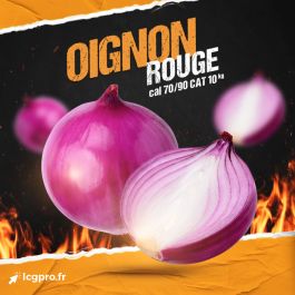 Oignons rouge Espagne/hollande cal 70/90 CAT 1 "10kg"